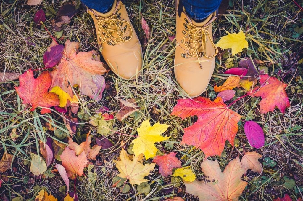 How To Prepare Your Lawn For Winter