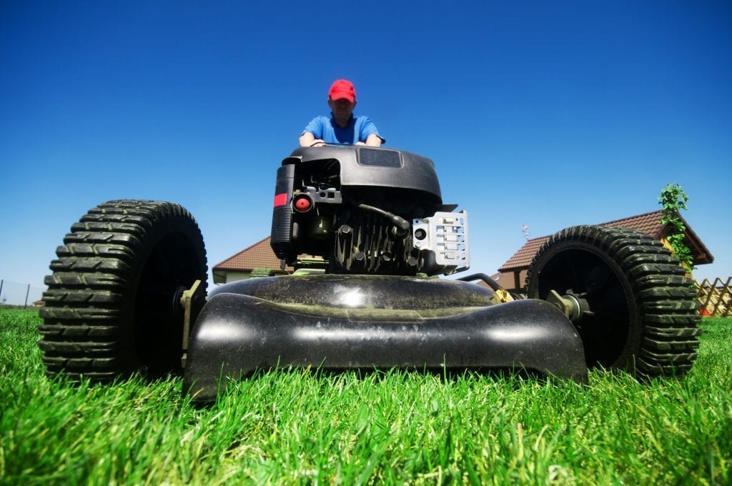 5 Things Lawn Care Providers Wish You Knew - LawnGuru Blog