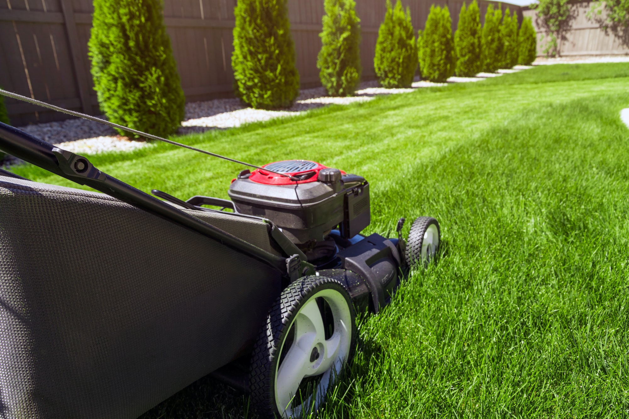 When to Mow New Grass - LawnGuru Blog