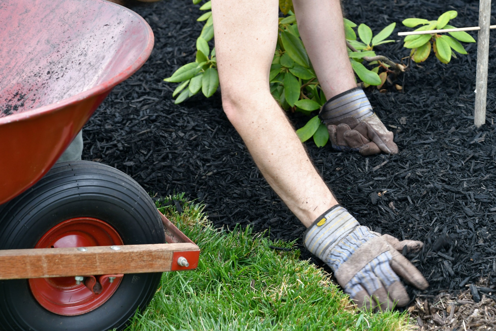 How Much Does Mulch Cost in 2026? - LawnGuru Blog