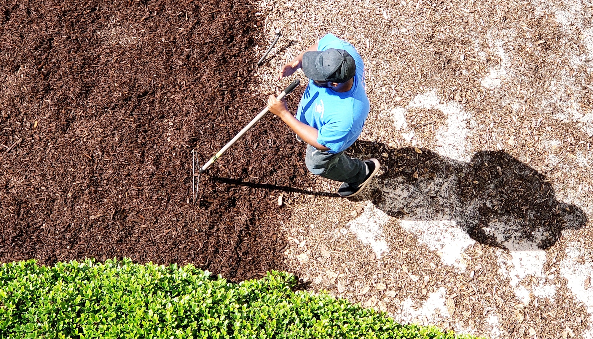 How to Effectively Mulch Around Trees - LawnGuru Blog