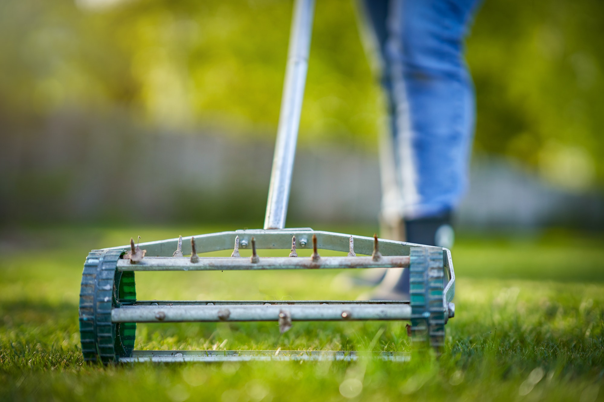 Should You Aerate Your Lawn in the Spring?
