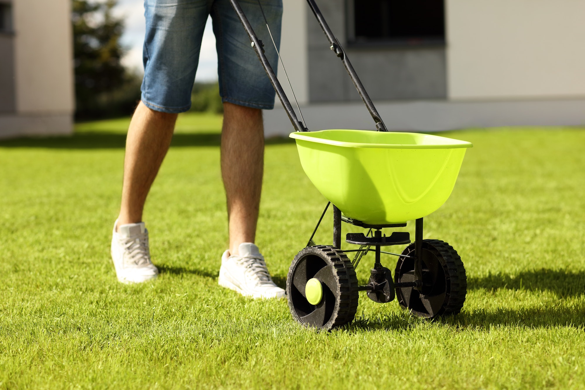 When To Plant Grass Seed In Michigan