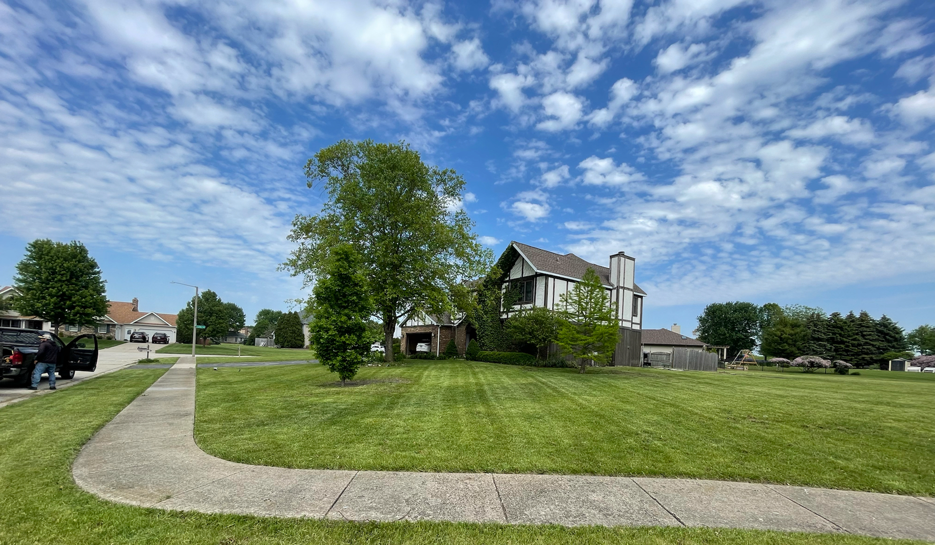 Common Types of Weeds in Illinois - LawnGuru Blog
