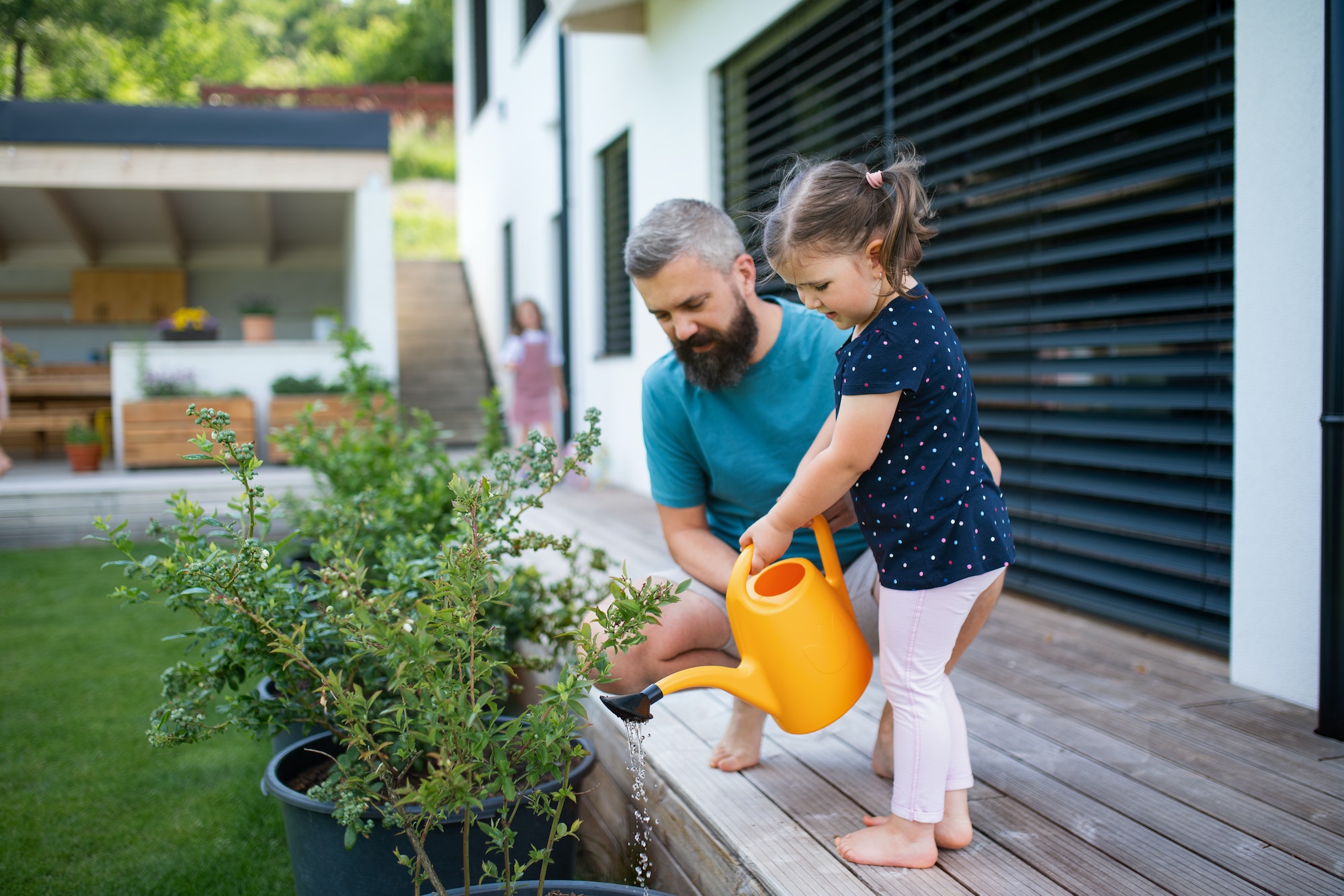 The 5 Best Lawn Care Companies in Garland Texas - LawnGuru Blog
