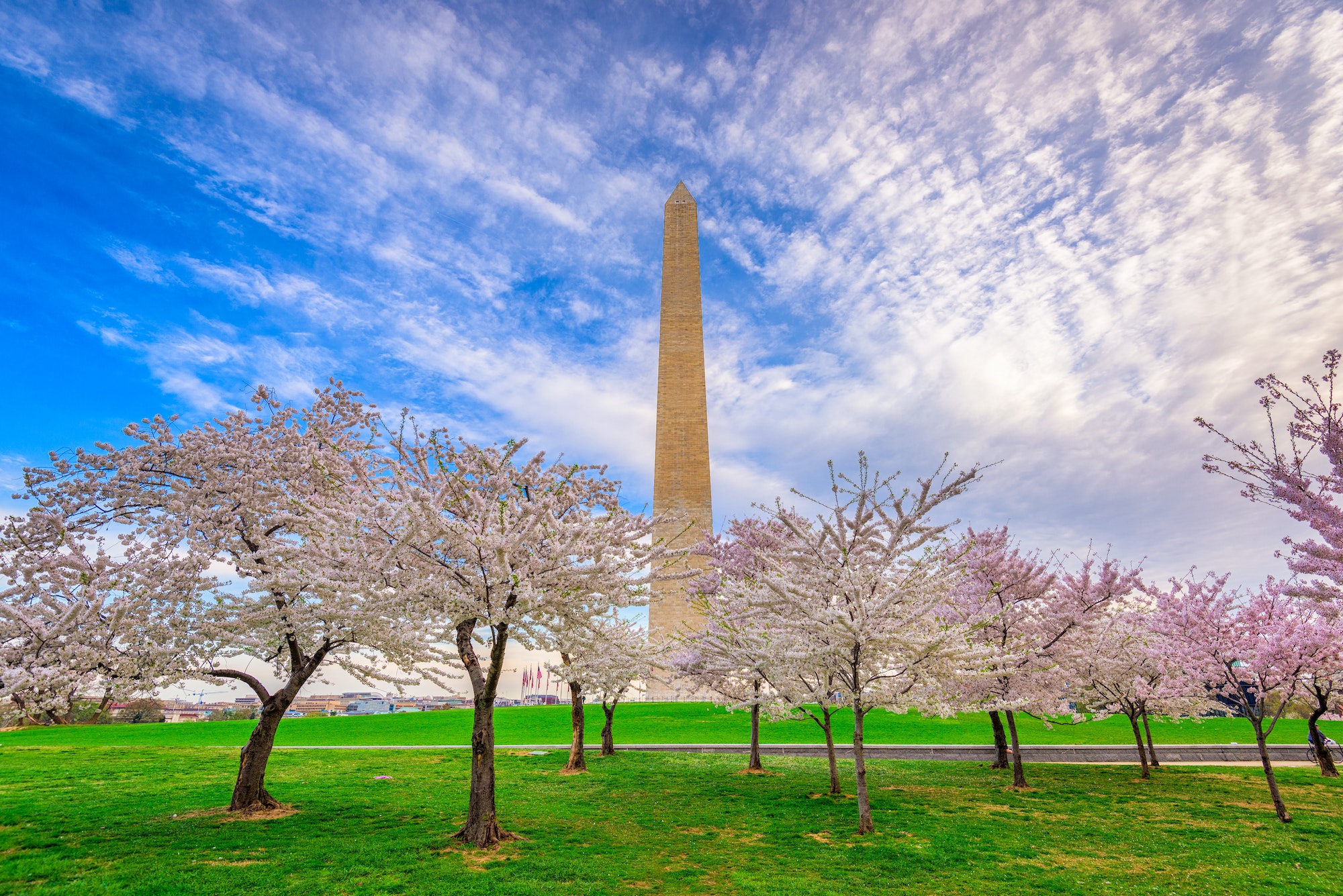 The 5 Best Lawn Mowing Companies in Washington, D.C. - LawnGuru Blog