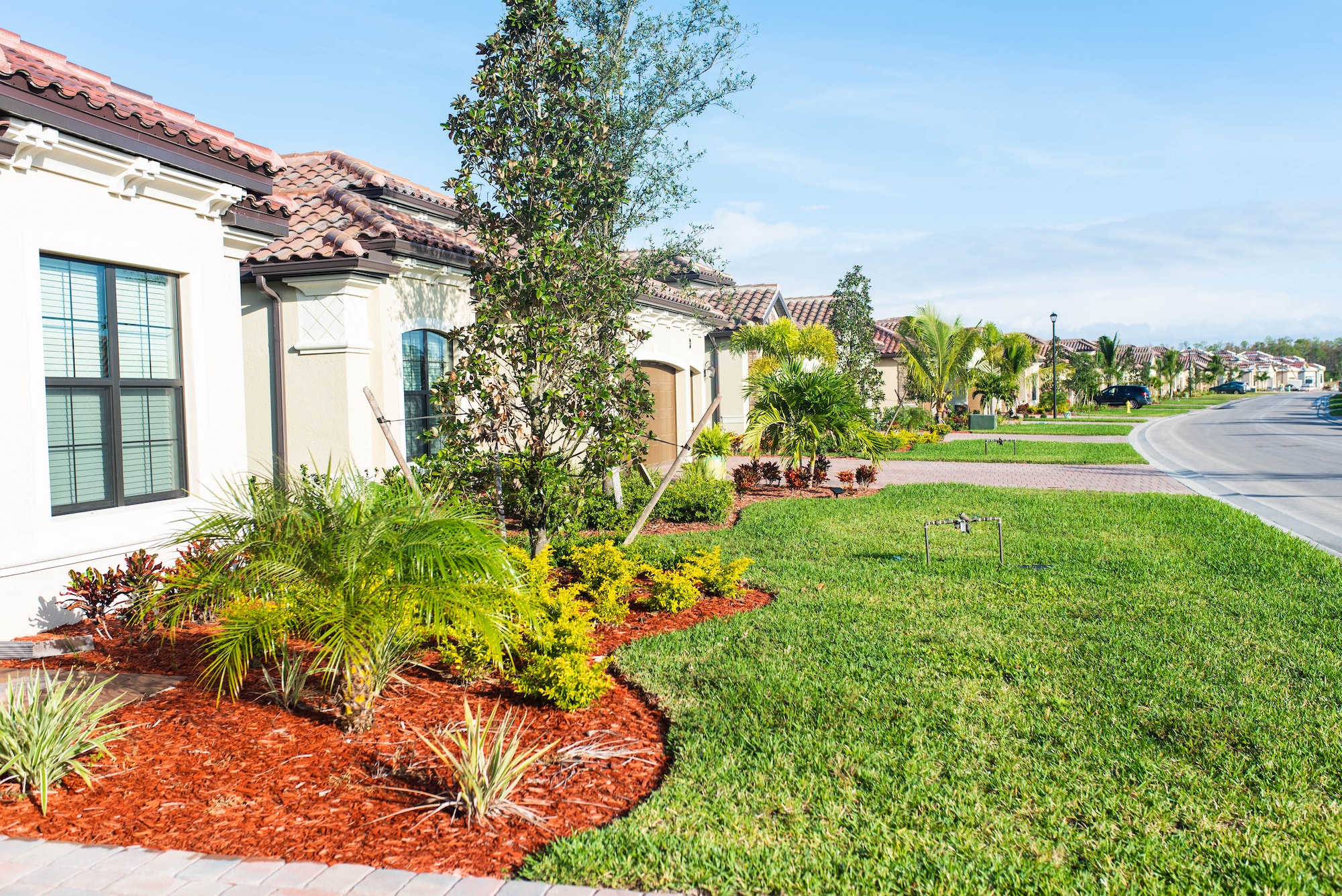 Florida Grass Types - LawnGuru Blog