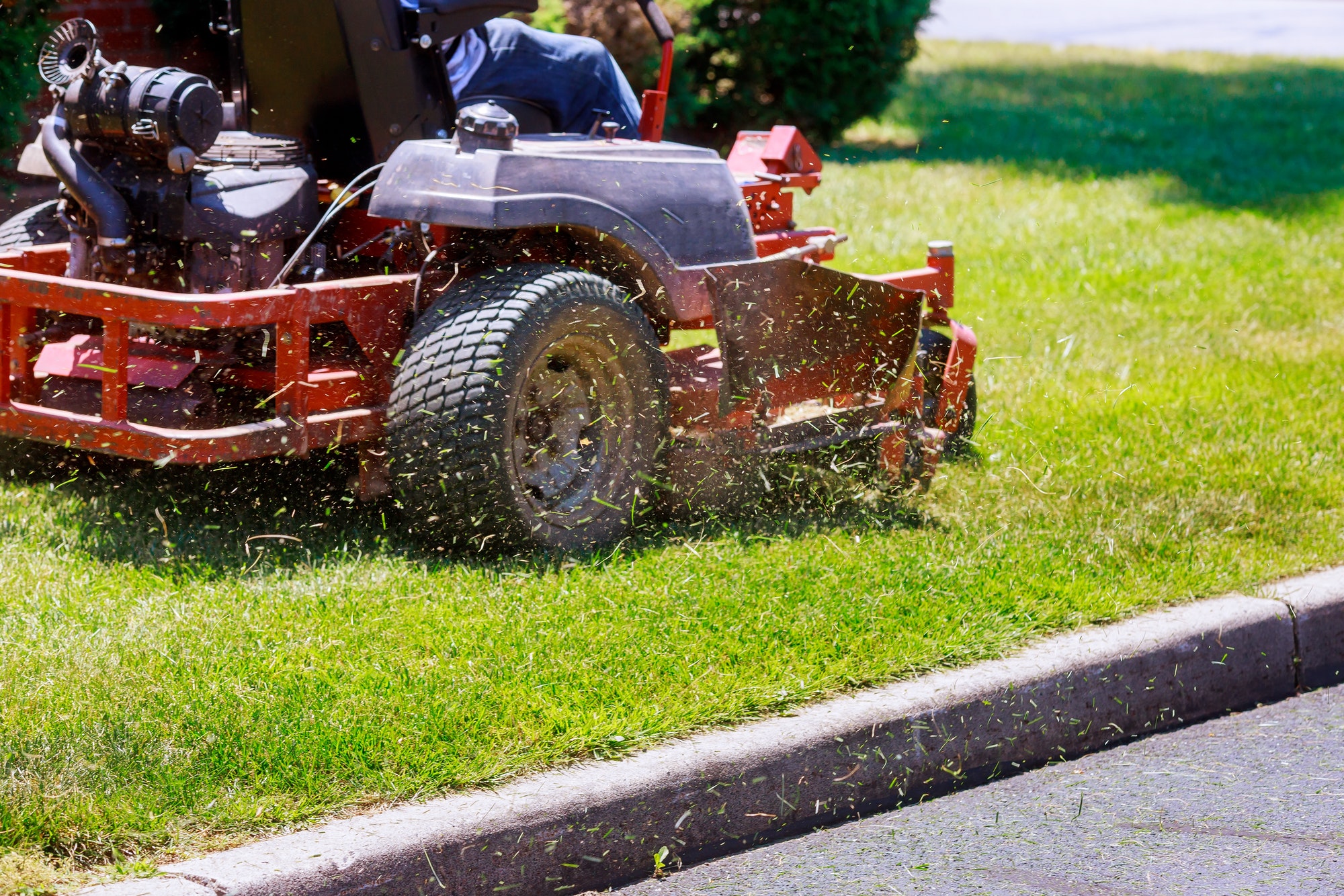 What Is Verticutting and Its Benefits - LawnGuru Blog