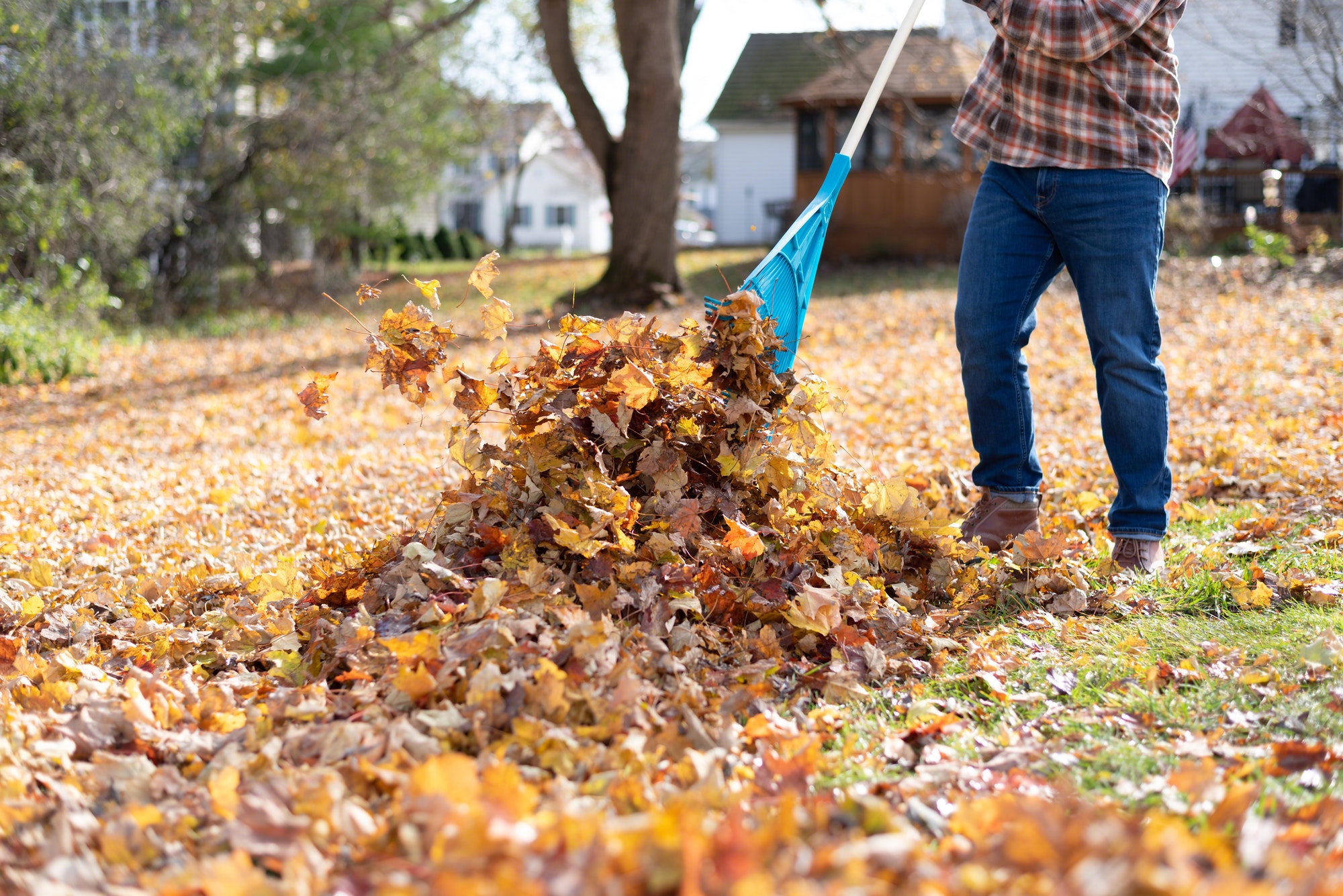 The Best Way to Pick Up Leaves From Your Yard