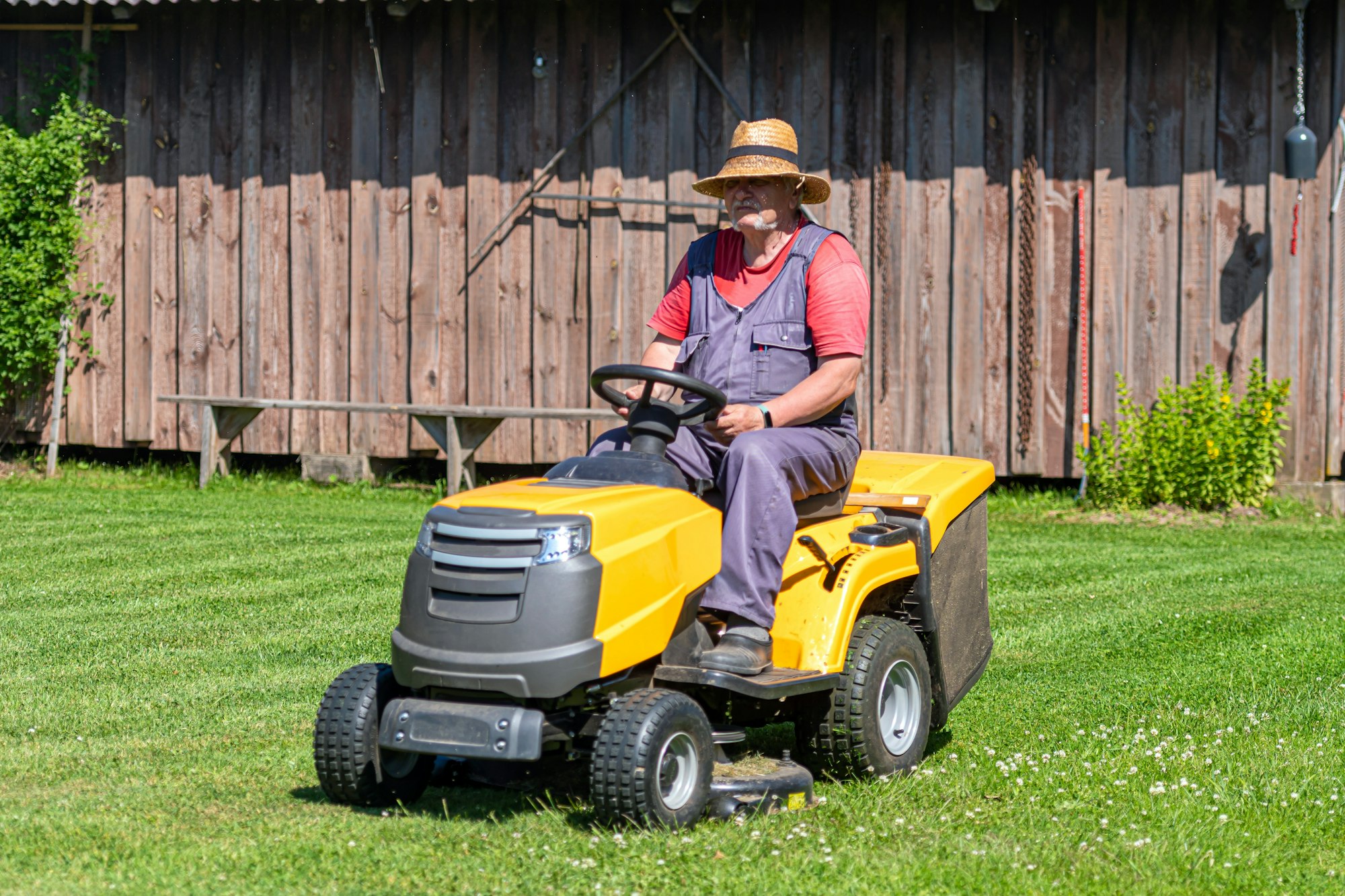 Lawn Care Services & Landscaping for Seniors