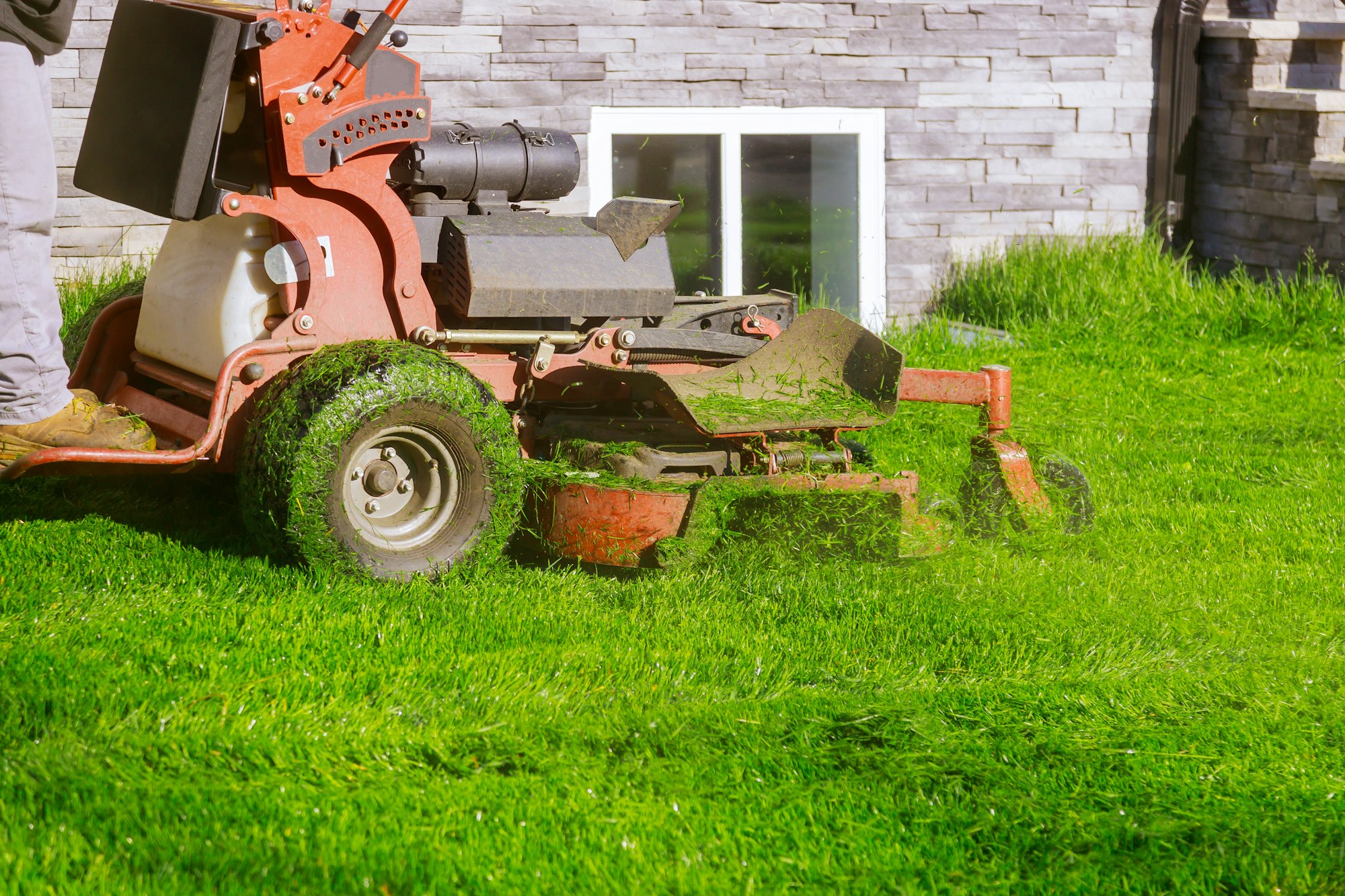 When to Stop Cutting Grass & Stop Mowing Your Lawn - LawnGuru Blog