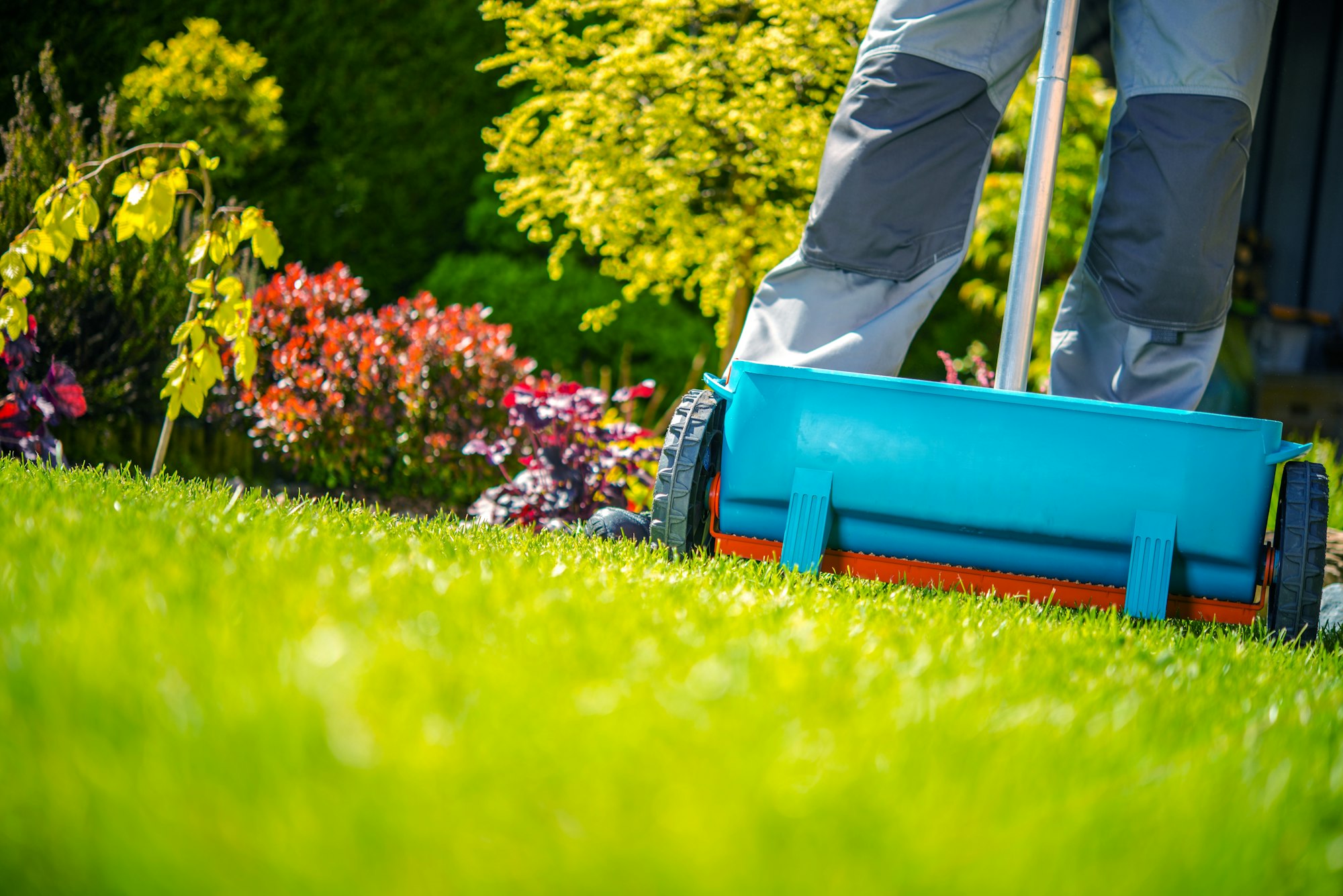Early Spring Lawn Care Tips for a Healthy Lawn - LawnGuru Blog