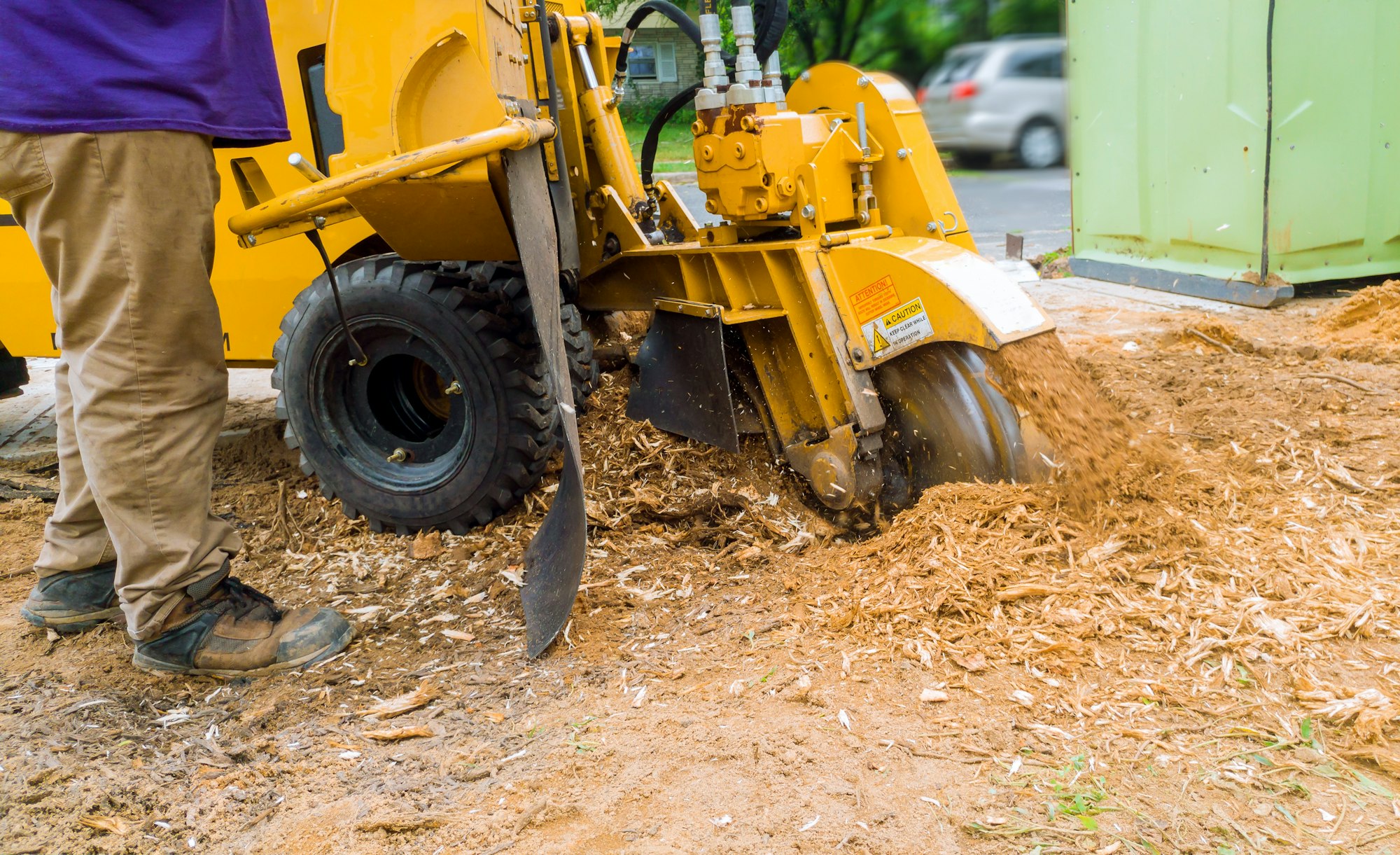 How Much Does Stump Grinding Cost in 2026?