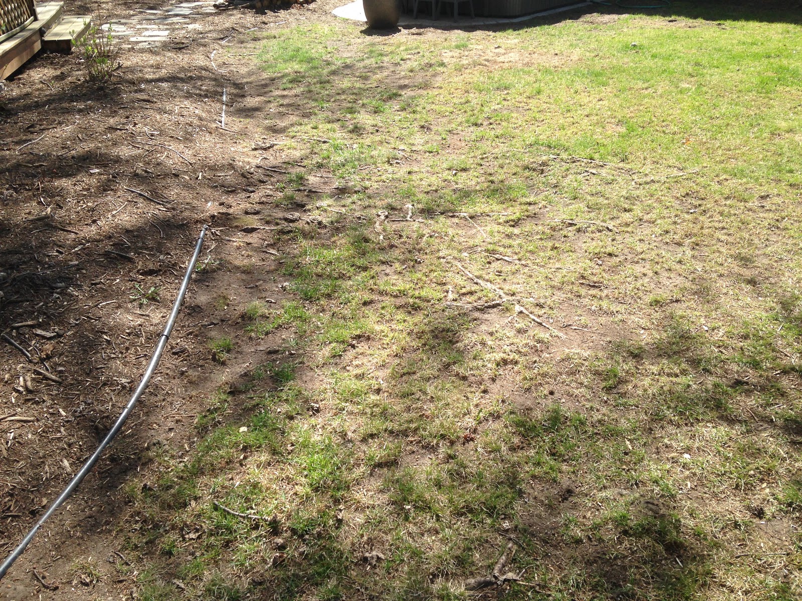 How Dormant Seeding Gives Your Lawn a Head Start Before Spring