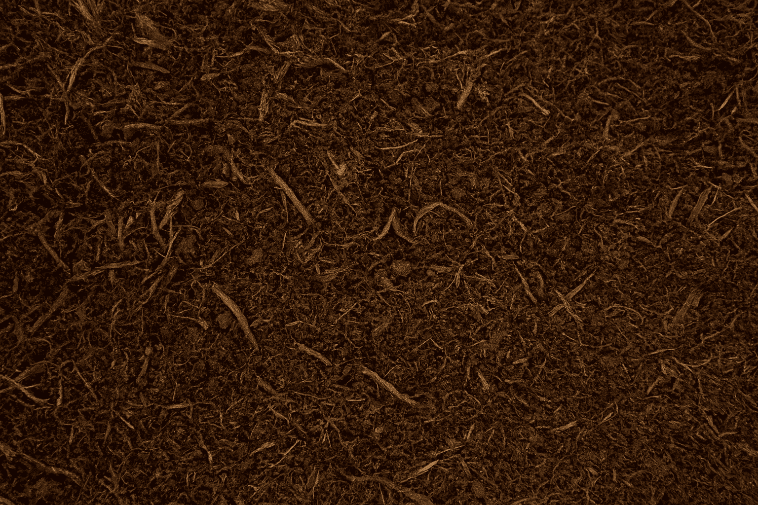 What is Peat Moss? - LawnGuru Blog
